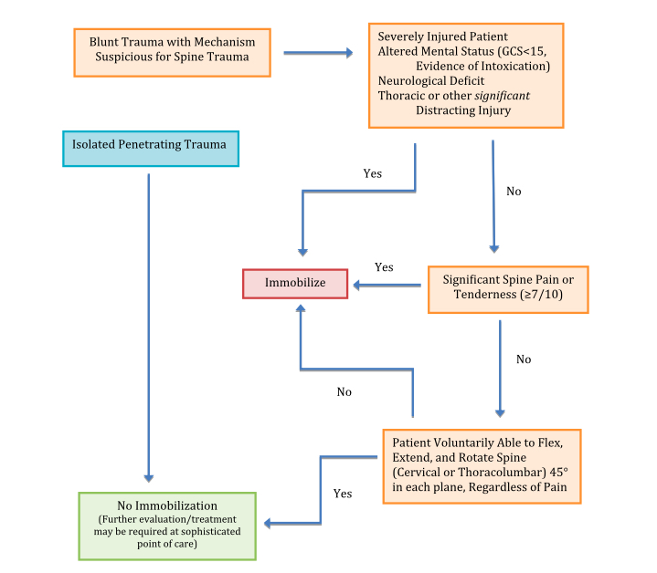 Spinal Immobilization: How To Guide | University of Colorado ...